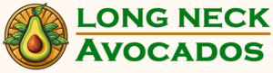 Ultimate Guide to Longneck Avocados - Longneck Avocados ...